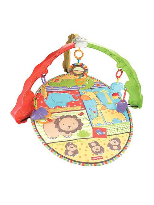Ginásio dos Animais Fisher Price - TOY + TOY
